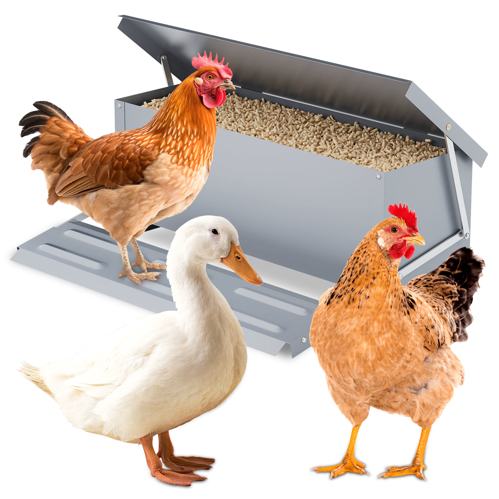 Bring Home Furniture Galvanized Steel Automatic Chicken Feeder | Wayfair