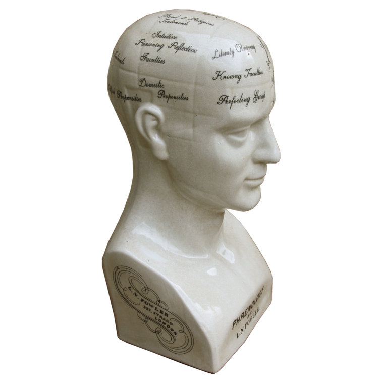 Castleton Home People Bust & Reviews | Wayfair.co.uk