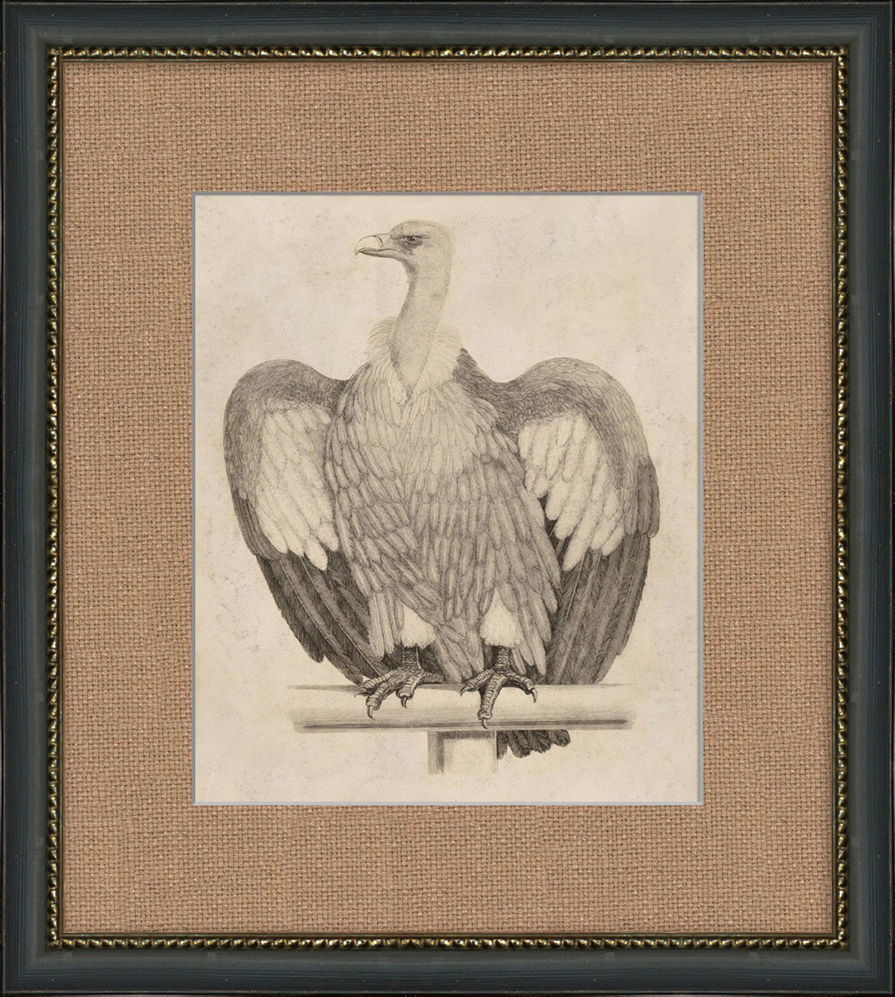 Wendover Art Group Antique Eagle - Picture Frame Painting on Paper ...
