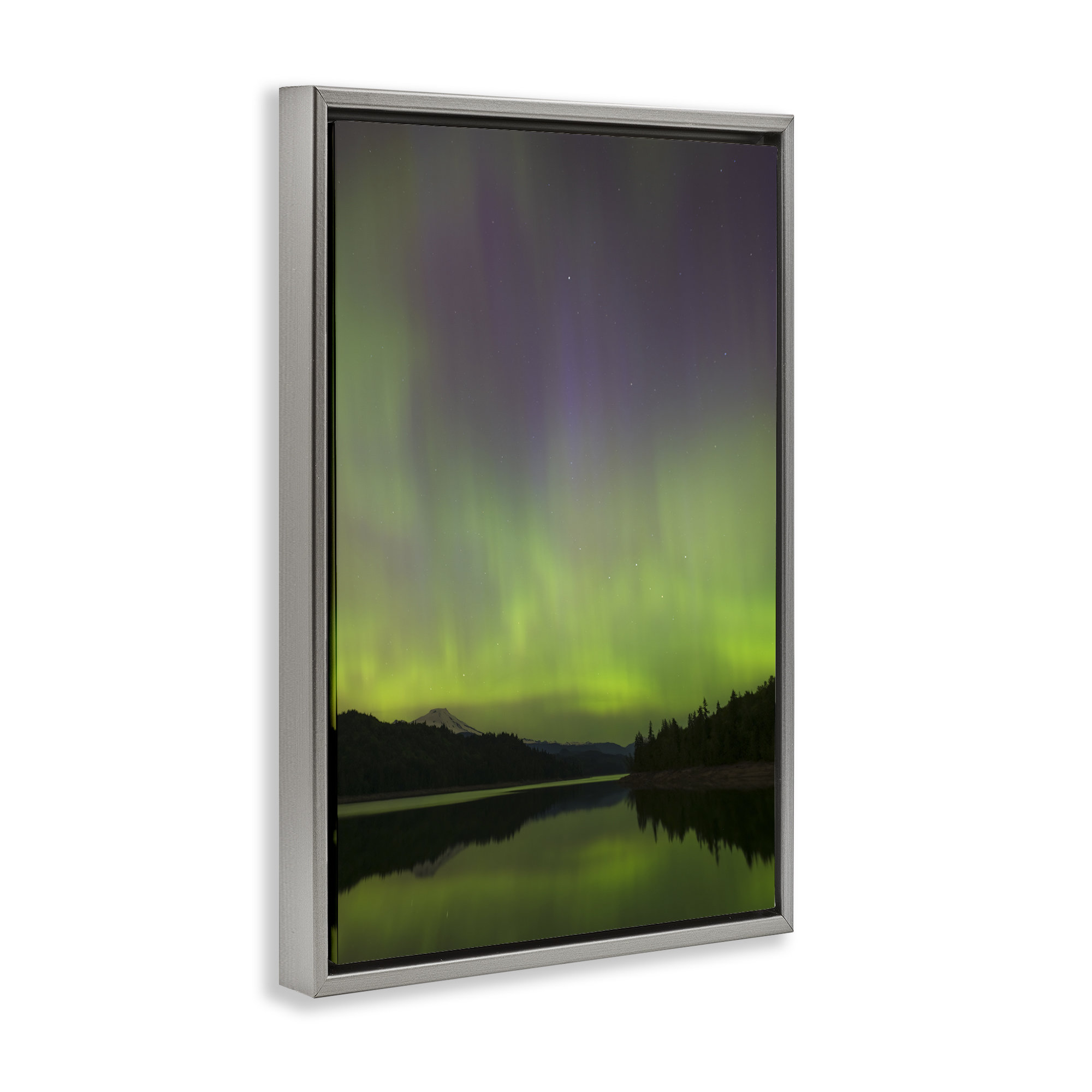 Latitude Run® Green Aurora Landscape Floating Frame, design by Nancy ...
