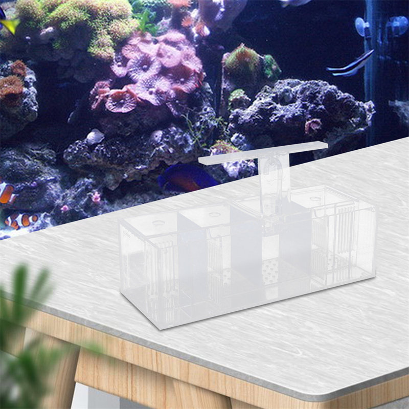 Tucker Murphy Pet™ Daythan Rectangle Acrylic 4-Grid Desktop Fish Tank ...