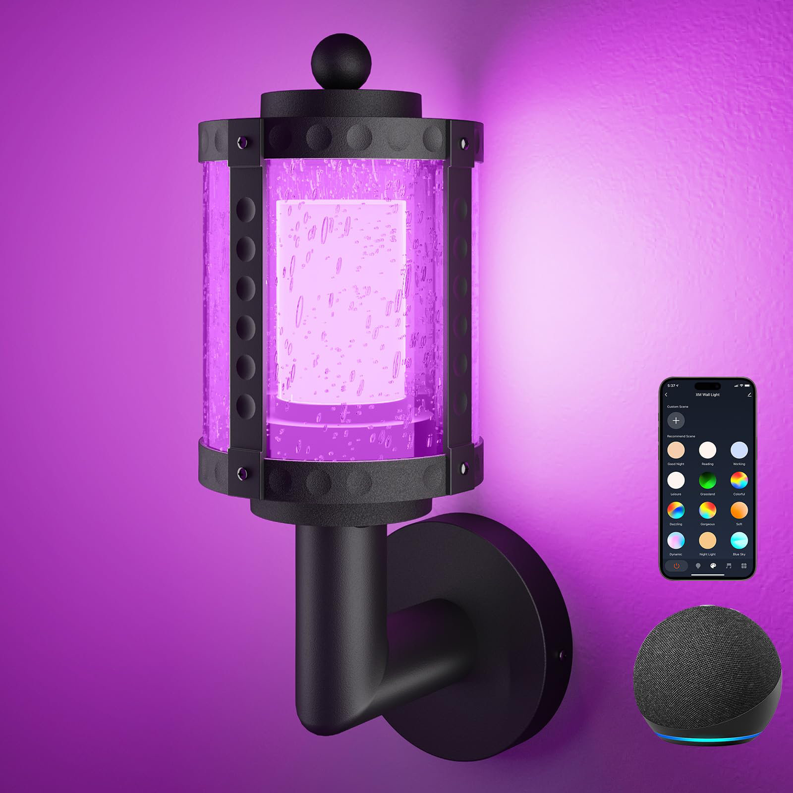 17 Stories 1100LM Smart Outdoor Wall Lights, RGBCW LED Outdoor Sconce ...