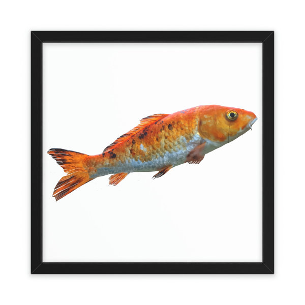 Dovecove Fish - Picture Frame Illustration | Wayfair