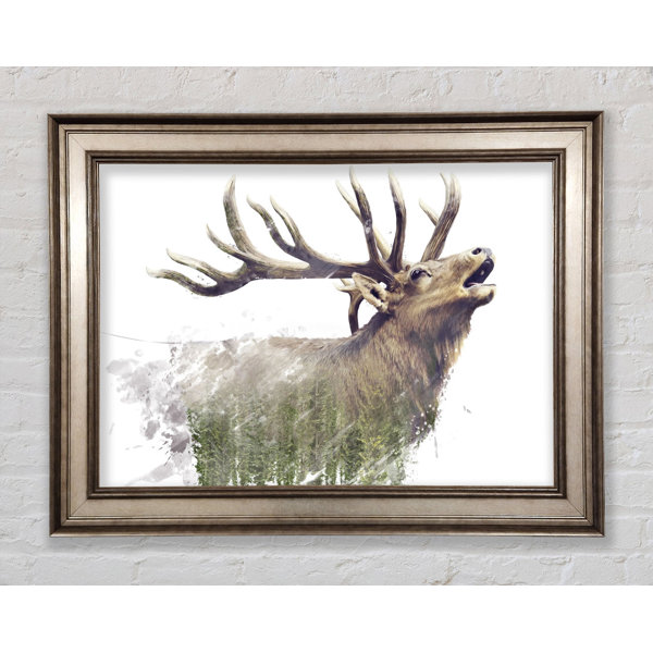 Bright Star Double Exposure Stag - Single Picture Frame Art Prints ...