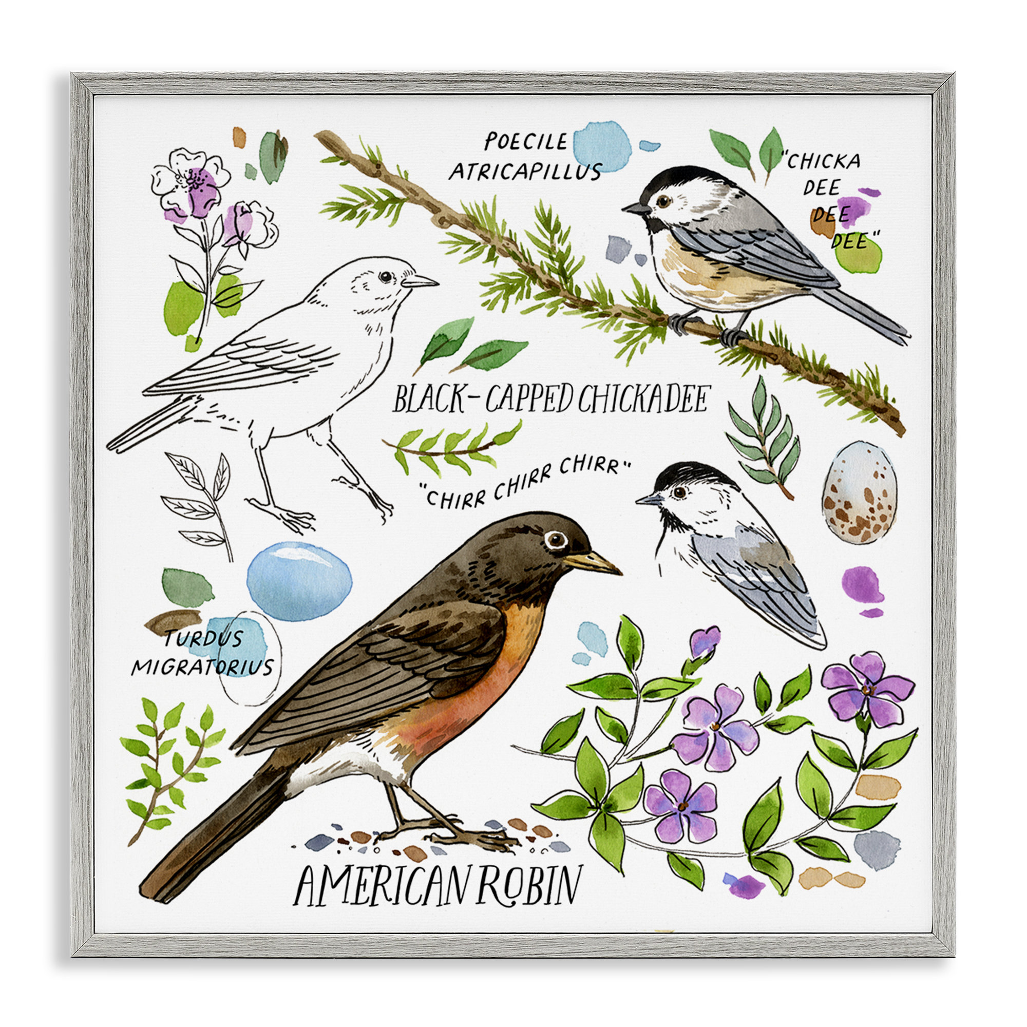 Stupell Industries Local Bird Watching Framed Giclee Art by Jane Maday | Wayfair