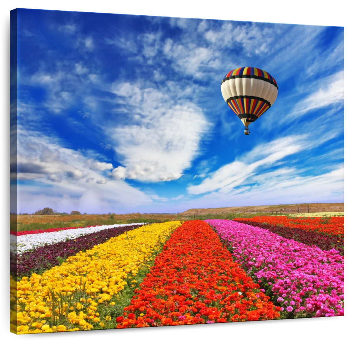 Millwood Pines Alvord Balloon Over Flower Field | Wayfair