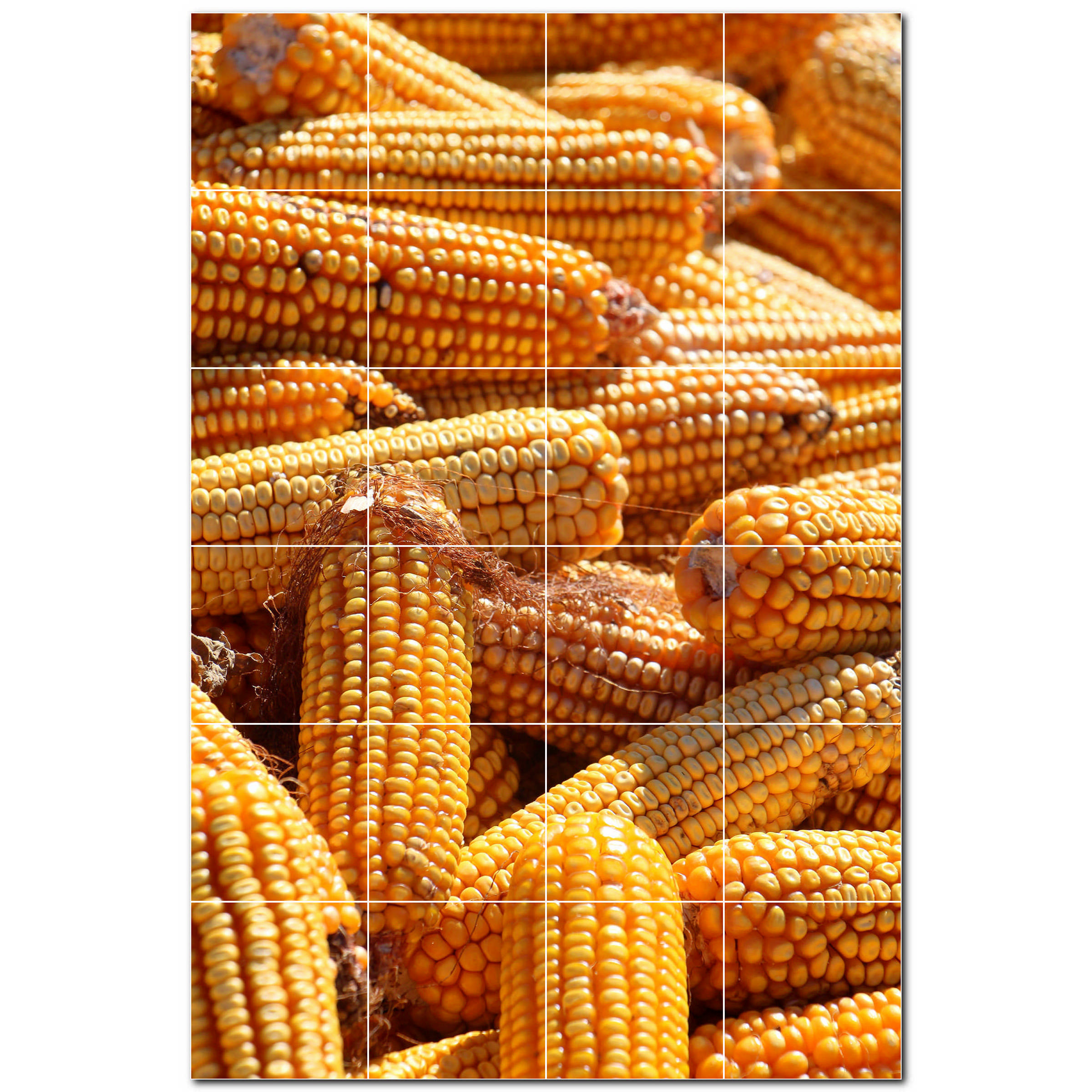 Picture-Tiles.com 32" x 48" Ceramic Farm Photo Decorative Mural Tile ...