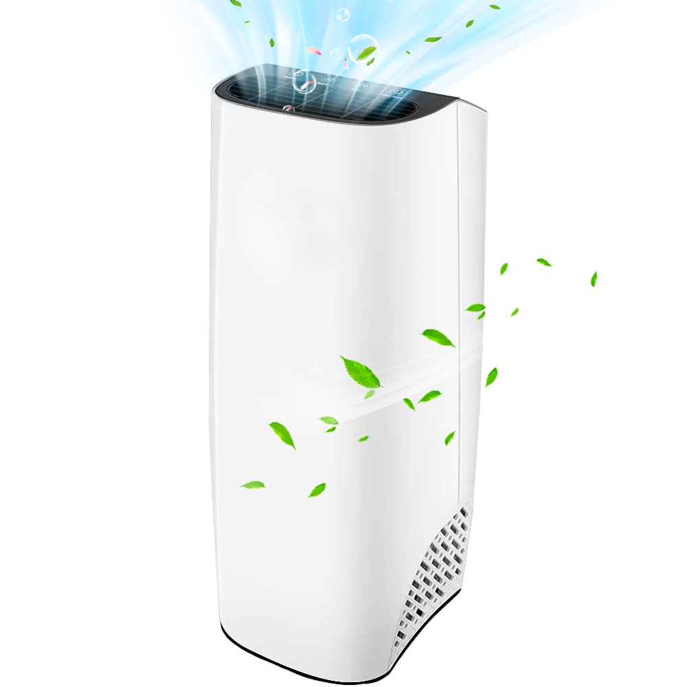 Salrfety Tabletop Air Purifier with HEPA Type Filter for 1500 Cubic ...