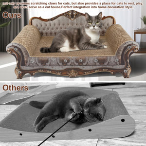 cat scratching couch