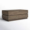 Birch Lane™ Leanora Premium Materials Lift Top Block Coffee Table with ...