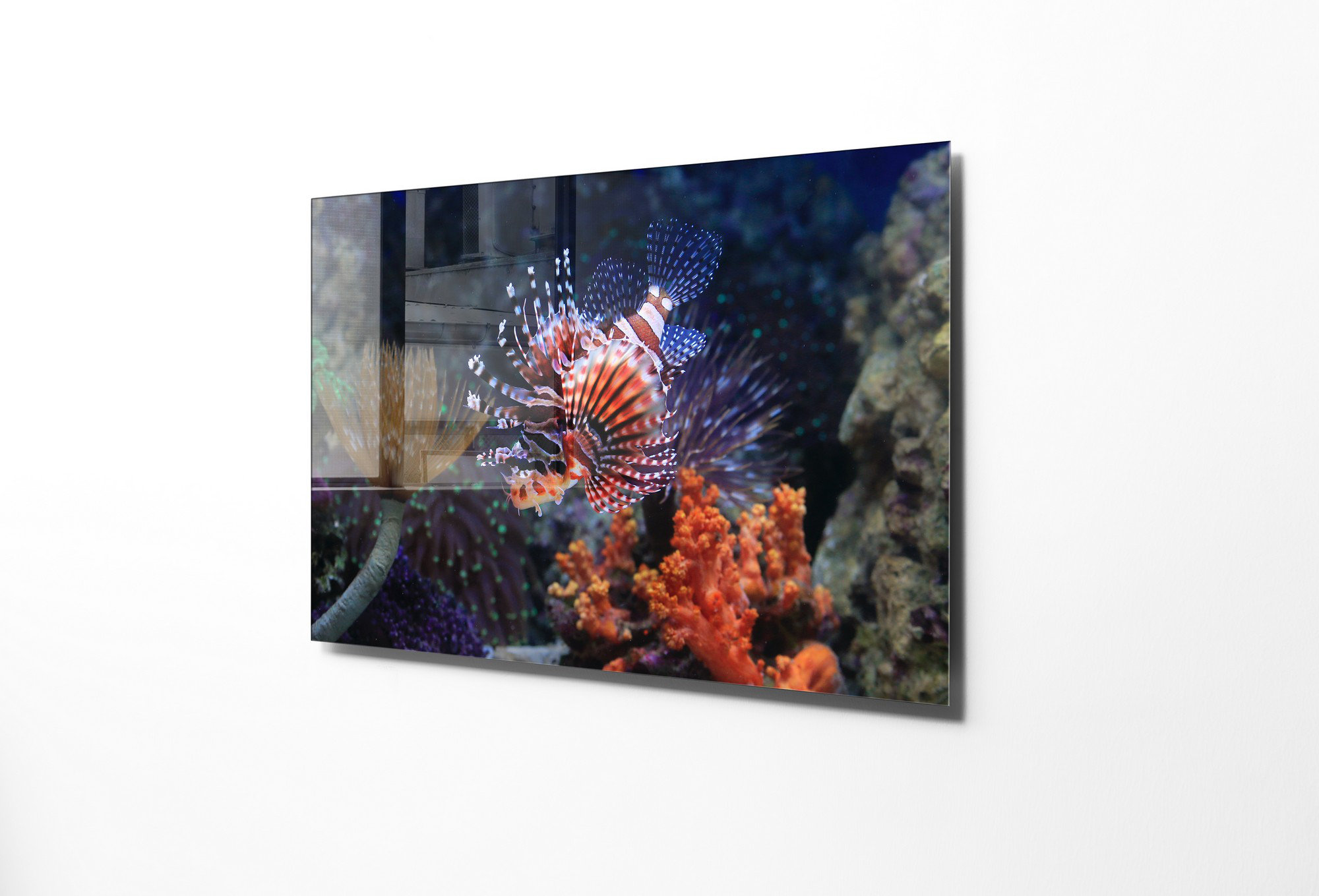 Ivy Bronx Glassen 2 | Wayfair
