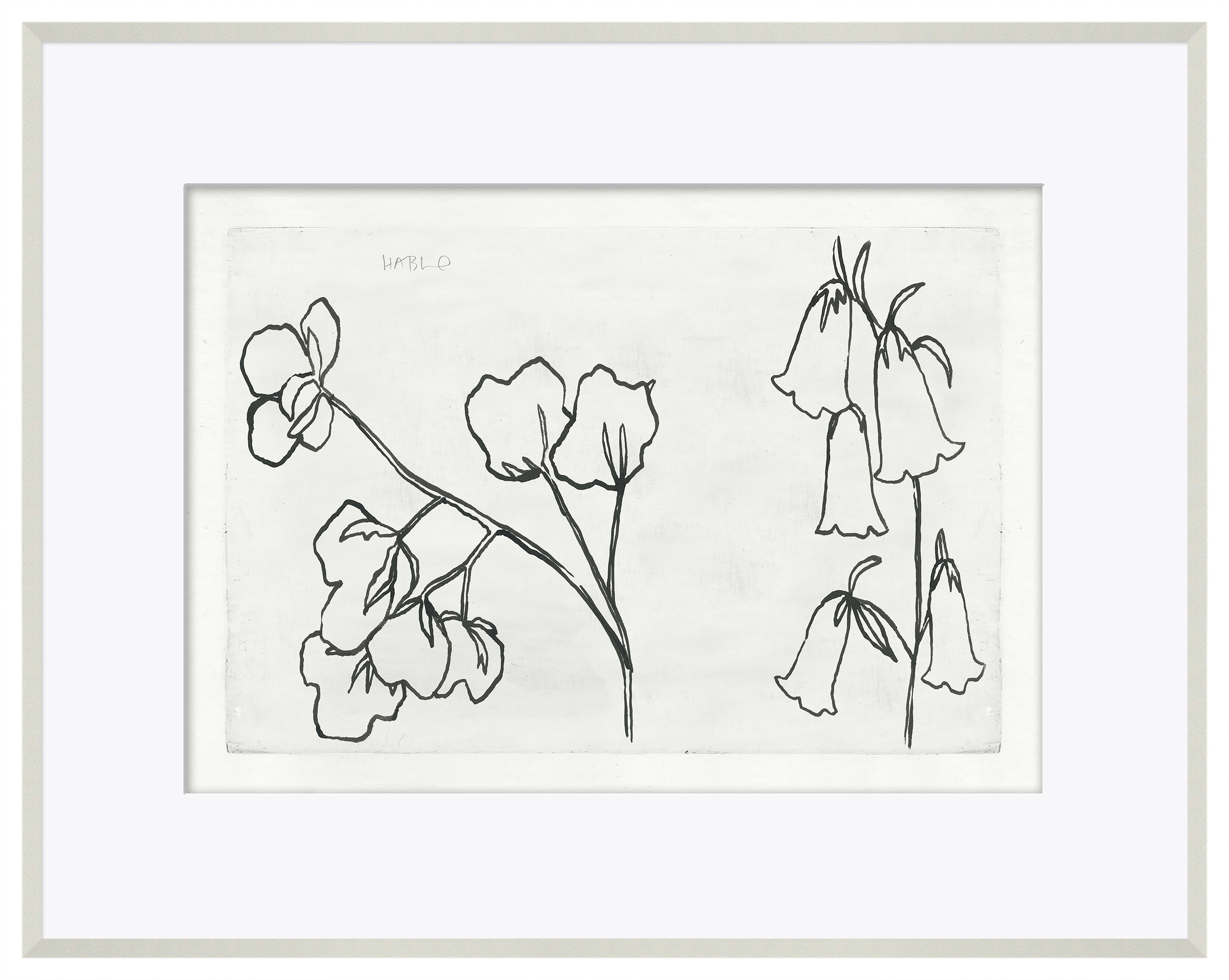Soicher Marin '' Cotton" by Susan Hable - Picture Frame Drawing Print ...
