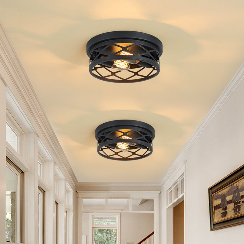 17 Stories 2-lights Black Flush Mount Ceiling Light Fixtures With Cage ...