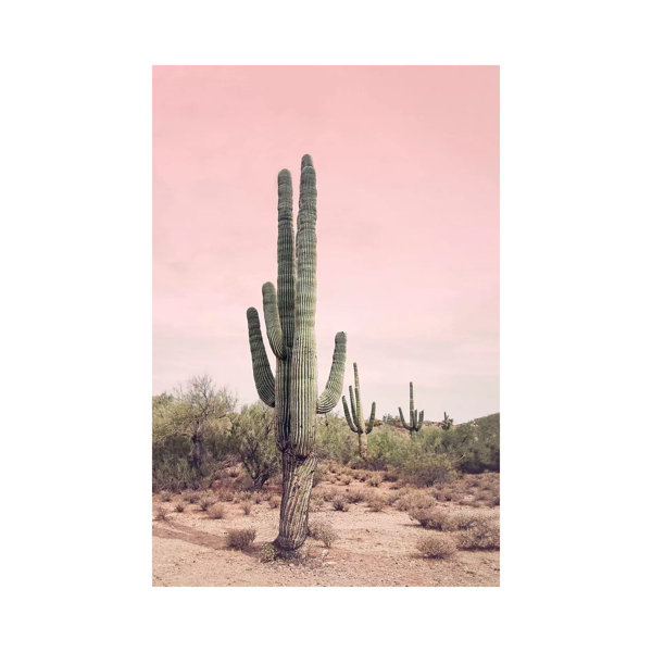 iCanvas Desert Cactus Blush by Sisi and Seb - Graphic Art Print | Wayfair