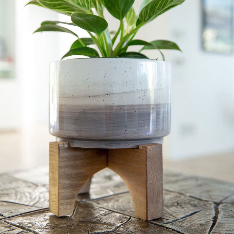 George Oliver Charlack Ceramic Pot Planter | Wayfair