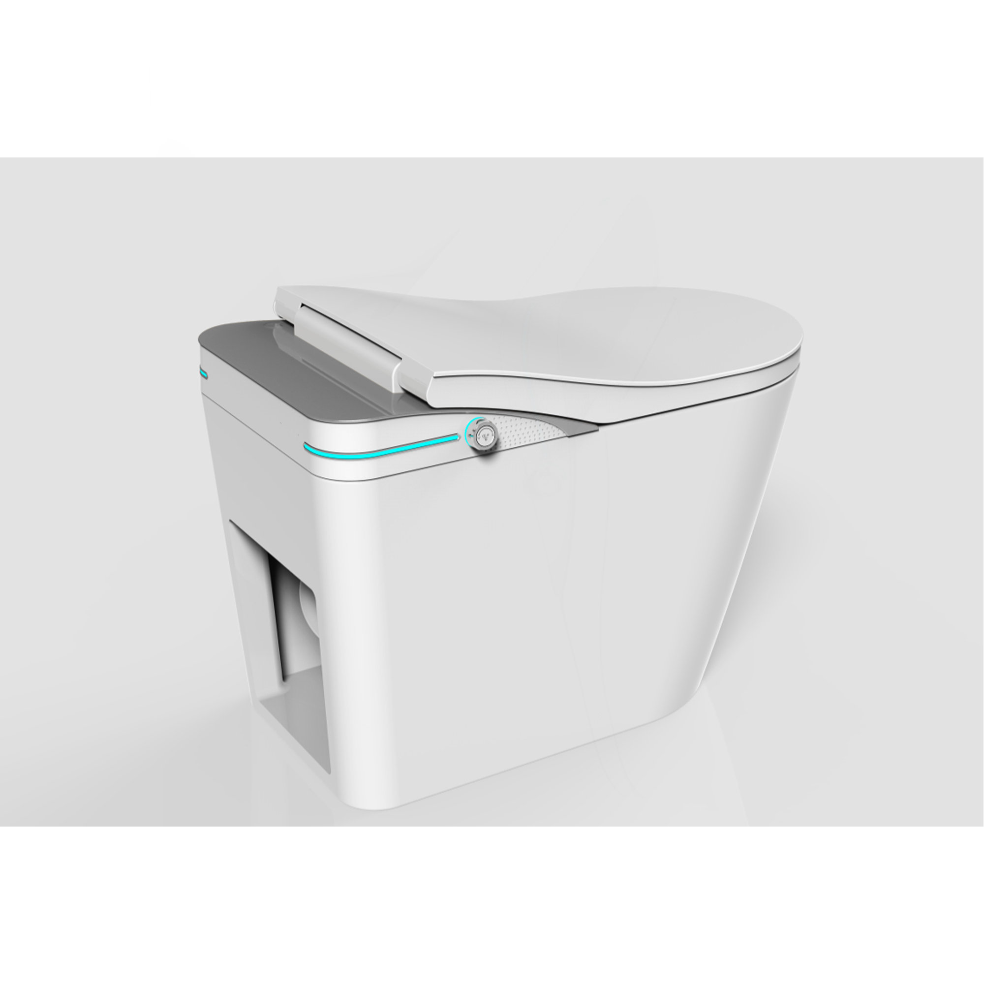 TYUNABRN Smart Toilet With Built-In Heated Seat - Wayfair Canada