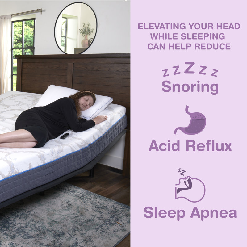 Alwyn Home Somers Adjustable Bed & Reviews | Wayfair