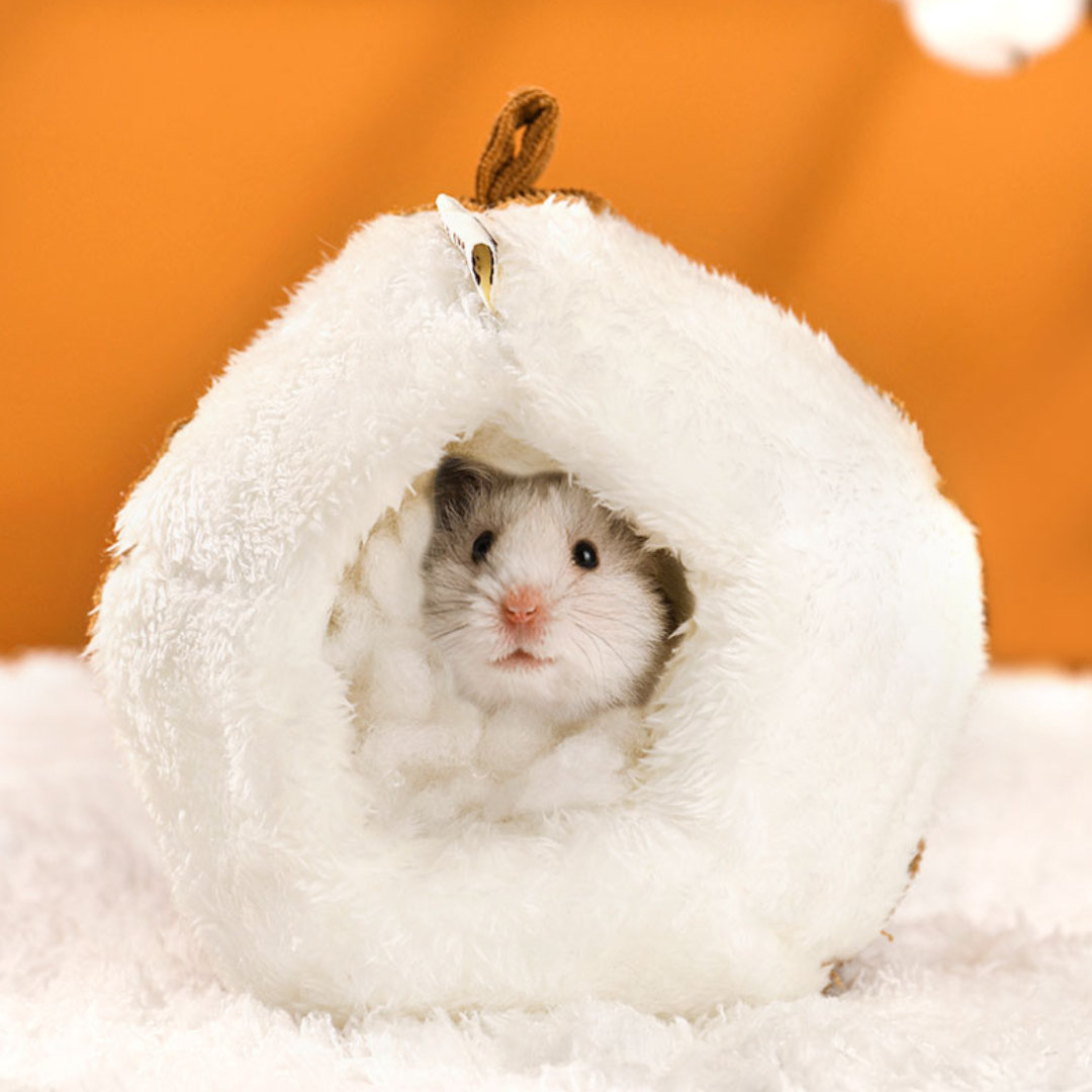 Tucker Murphy Pet™ Small Animals Hamster Bed Cotton Cabin - Wayfair Canada