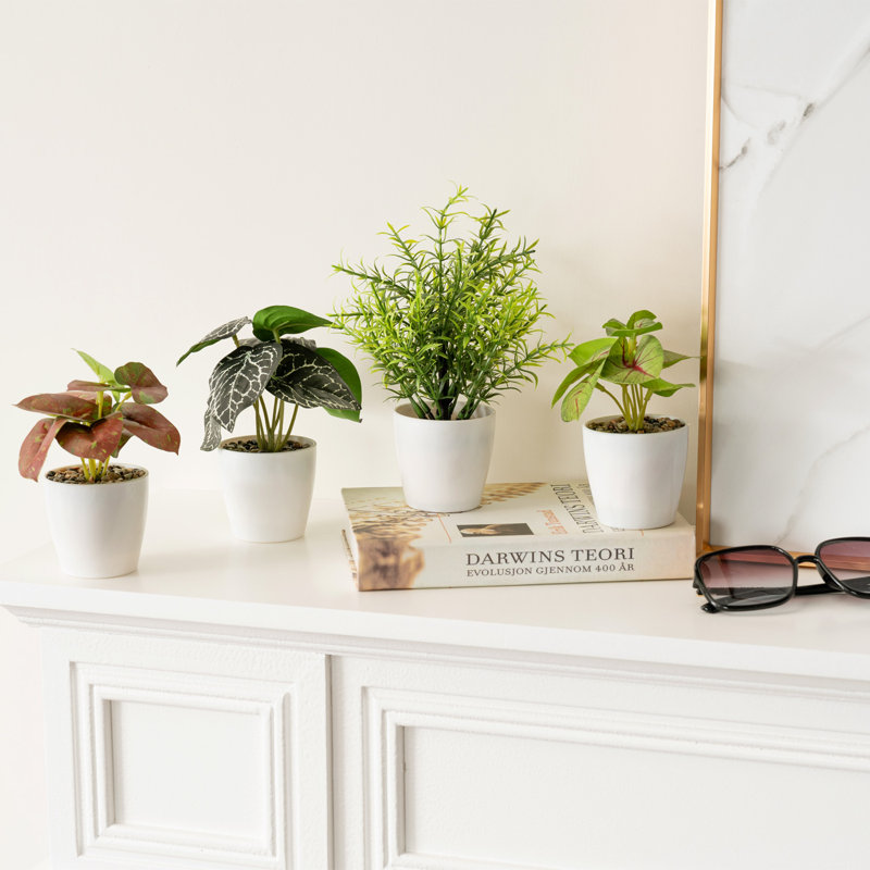 Primrue 4 Piece Fuax Fake Mini Foliage Artificial Plants White Pot ...