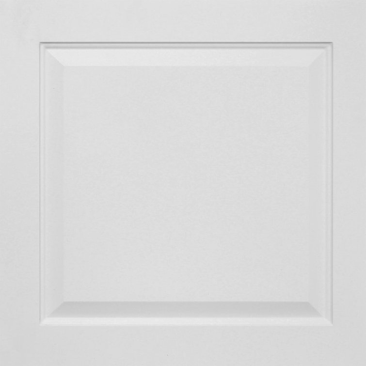 FromPlainToBeautifulInHours Raised Panel 2 Ft. X 2 Ft. Drop-In PVC ...