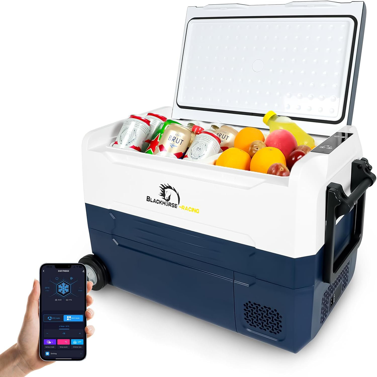 CAYNEL 53 Quarts Portable Freezer Car Refrigerator With WIFI APP ...