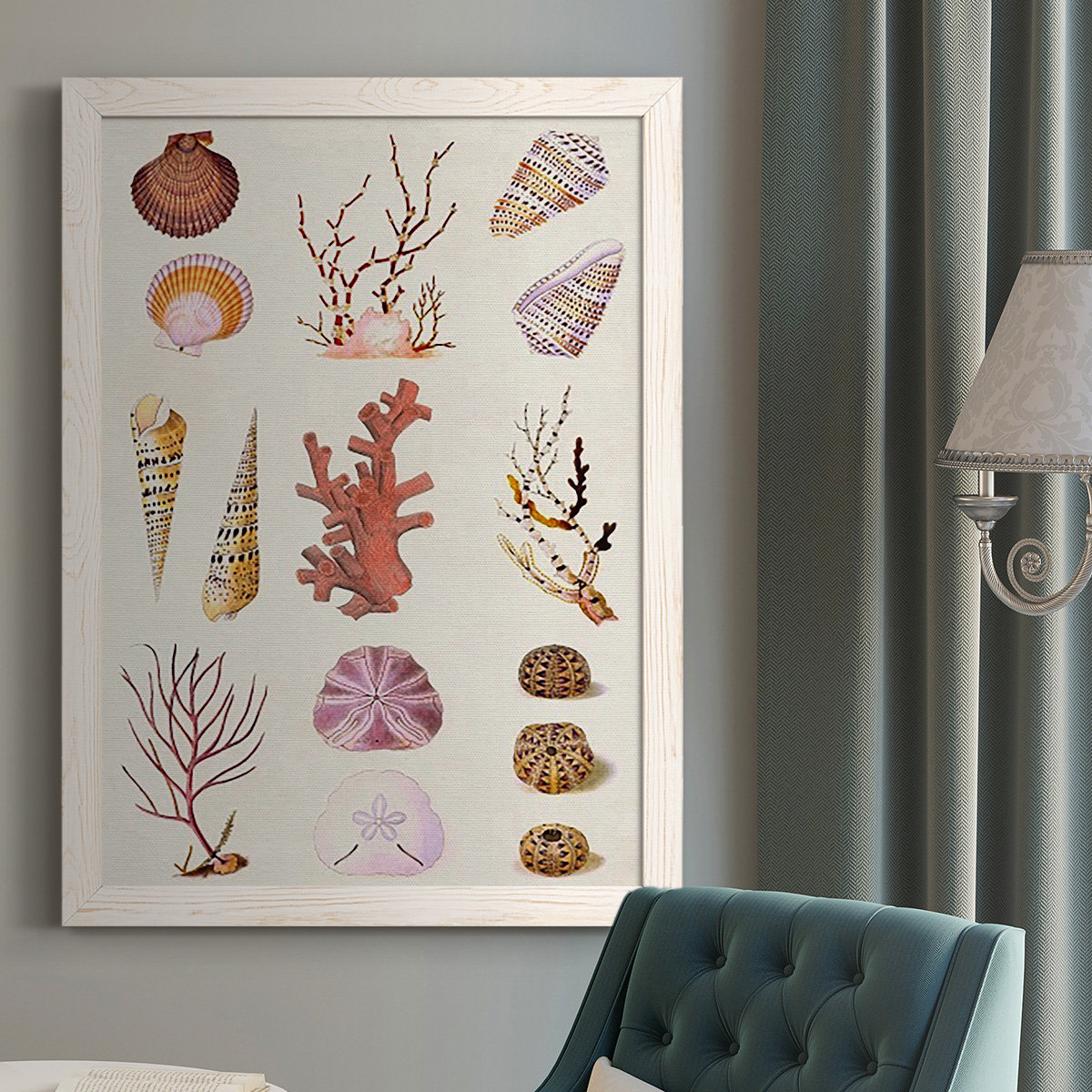 Dovecove Wolfdale Coral & Shell Collage II Framed On Canvas Print | Wayfair