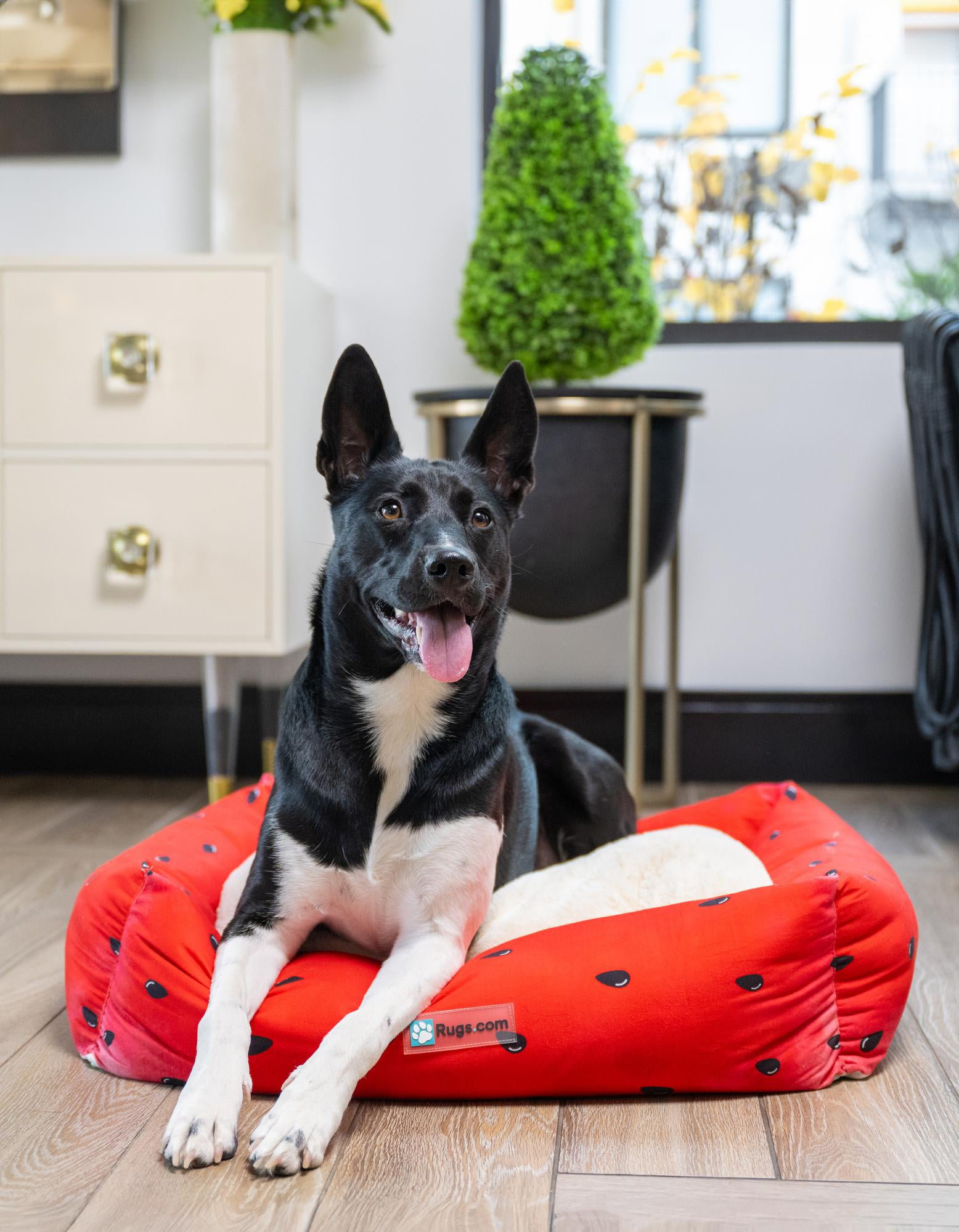 Rugs.com Watermelon Premium Pet Bed Rug - Wayfair Canada