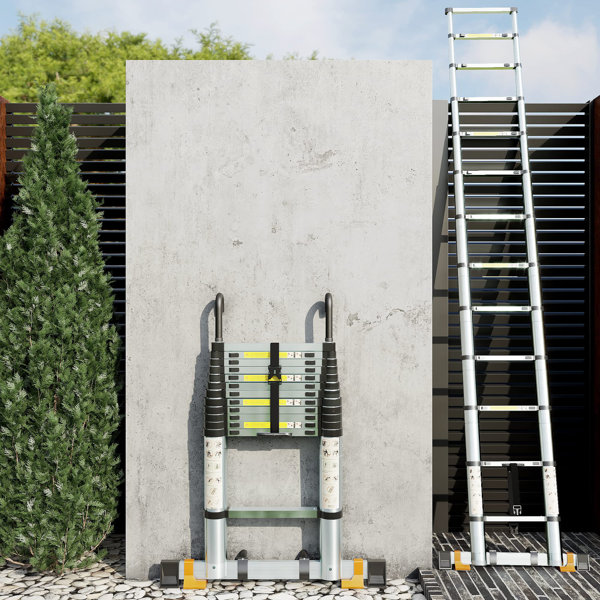 WFX Utility™ Aluminum Lightweight Extension Ladder | Wayfair