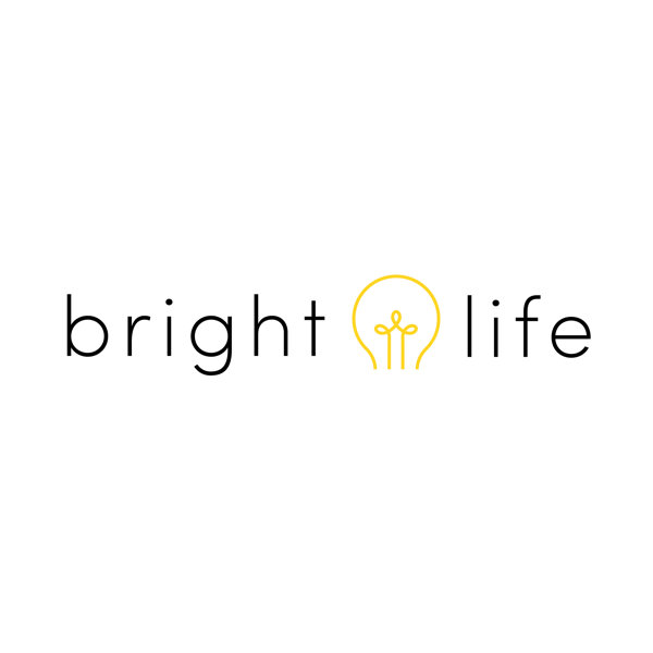 Bright Life | Wayfair.co.uk