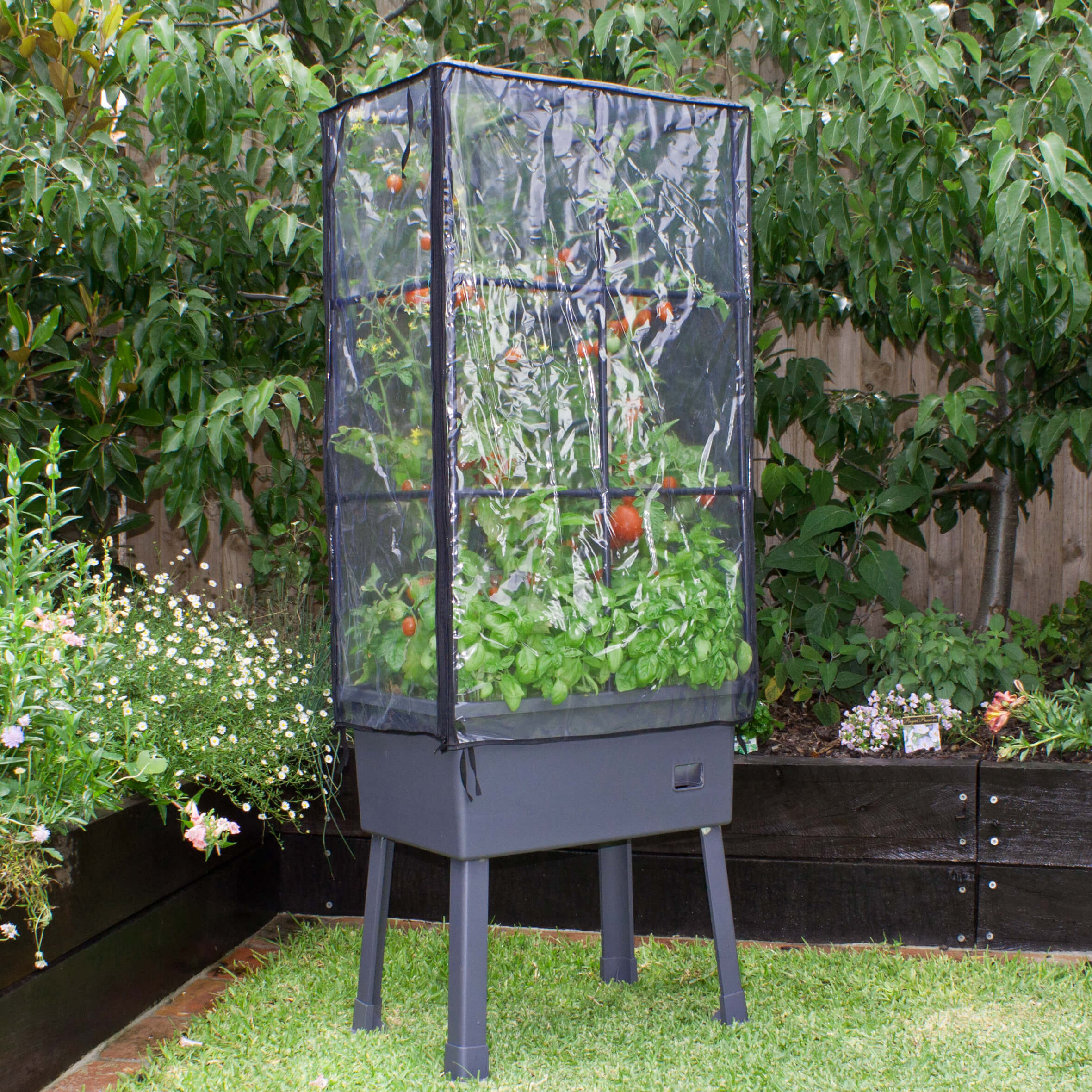 Frame It All Elevated Self-Watering Plastic Terrarium with Trellis ...