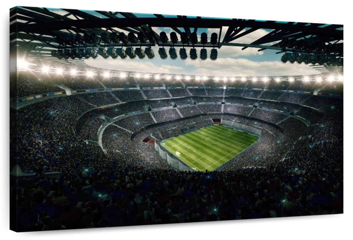 Ebern Designs Sireci Full Soccer Arena | Wayfair