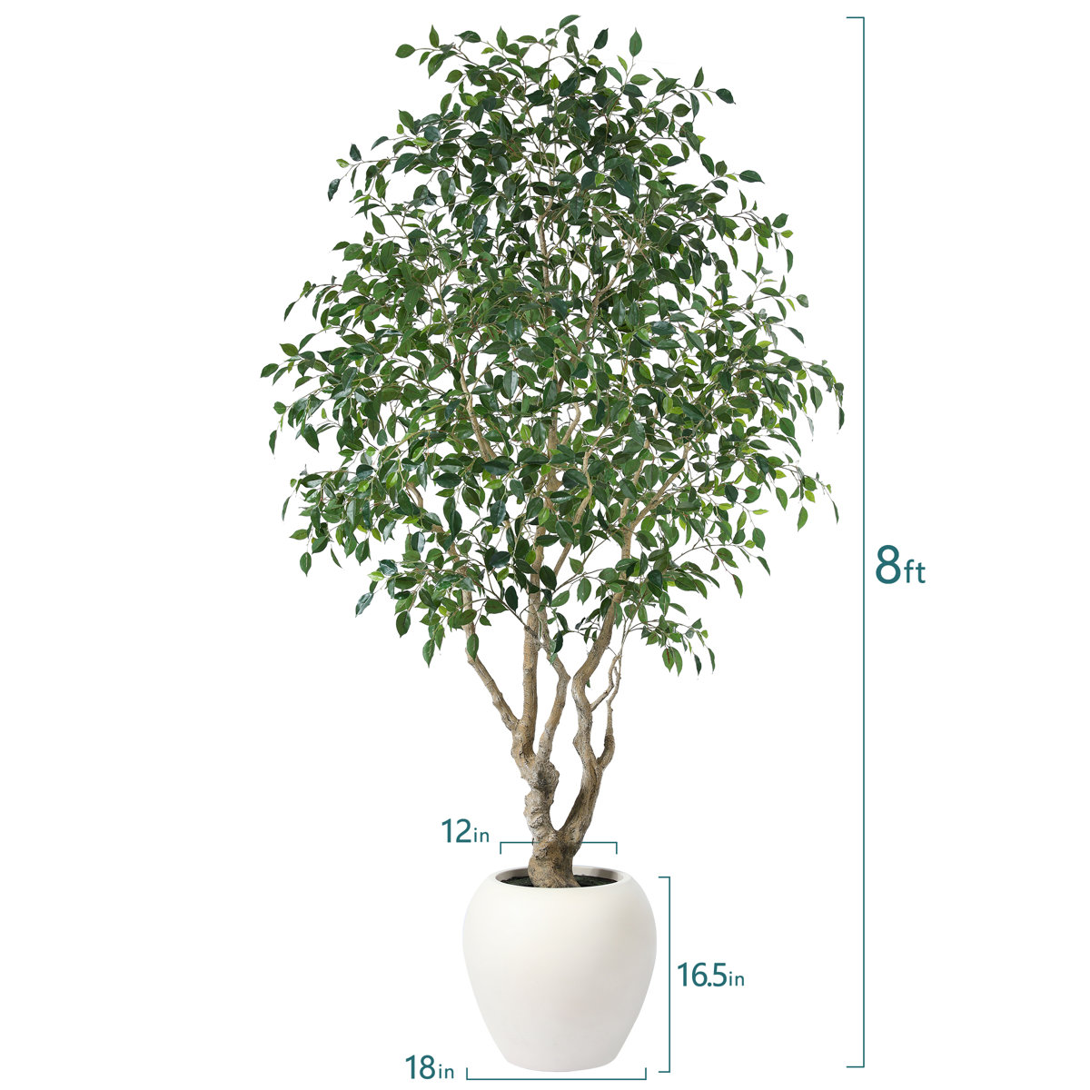 Primrue Adcock 8ft Artificial Ficus Tree with 18in White Planter, Tall ...