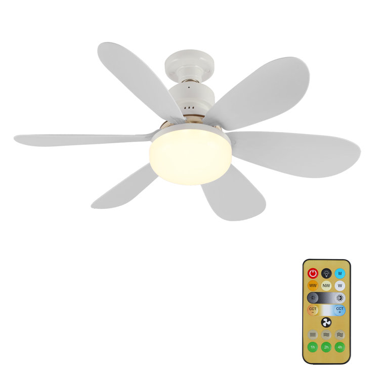 Wrought Studio Ventilateur de plafond à douille avec lumières et ...