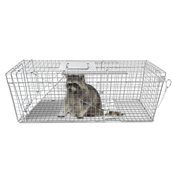 WEATHERFAST Large Collapsible Humane Live Animal Cage Trap for Raccoon ...