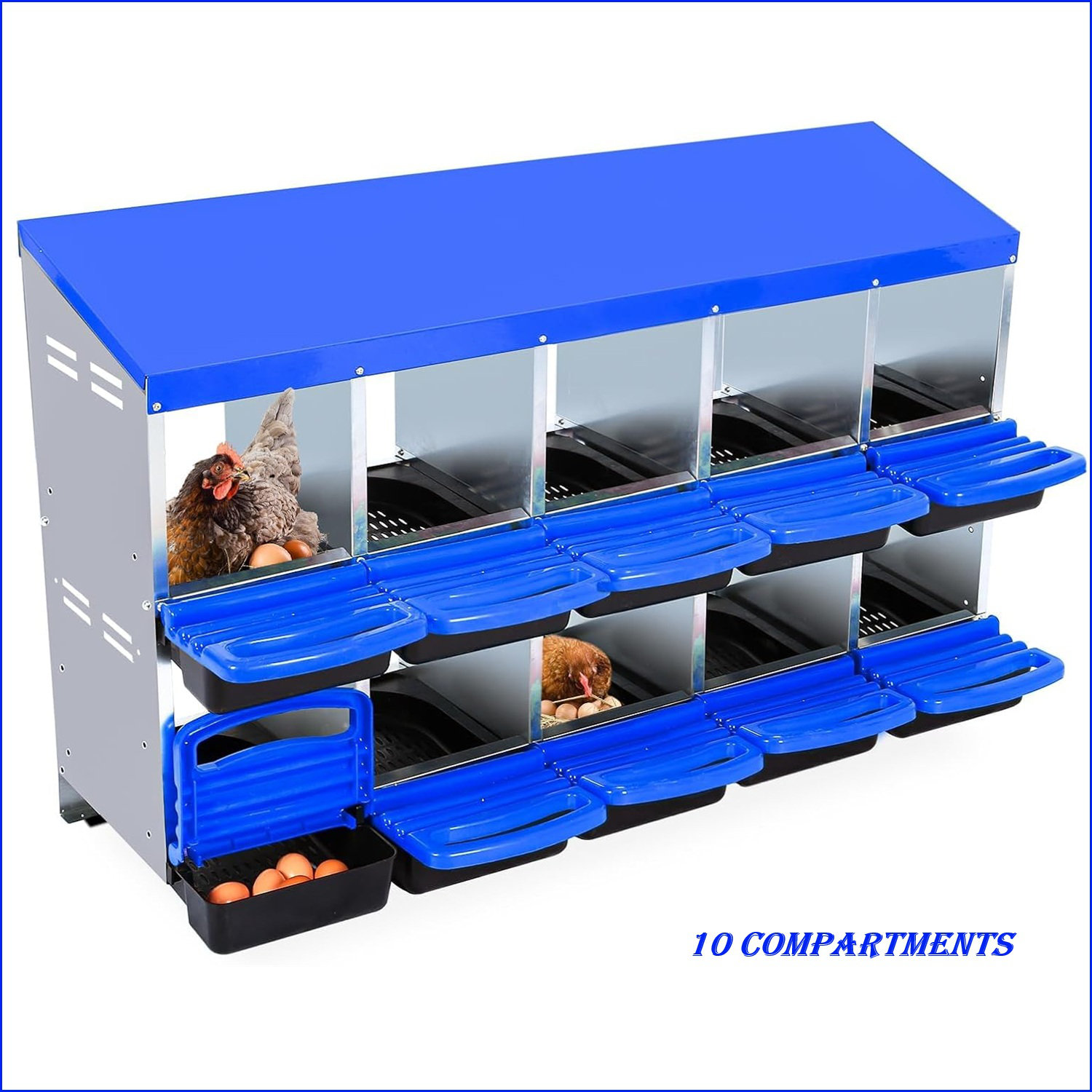 Archie & Oscar™ Chicken Nesting Boxes For Chickens, 10 Hole Metal Roll ...