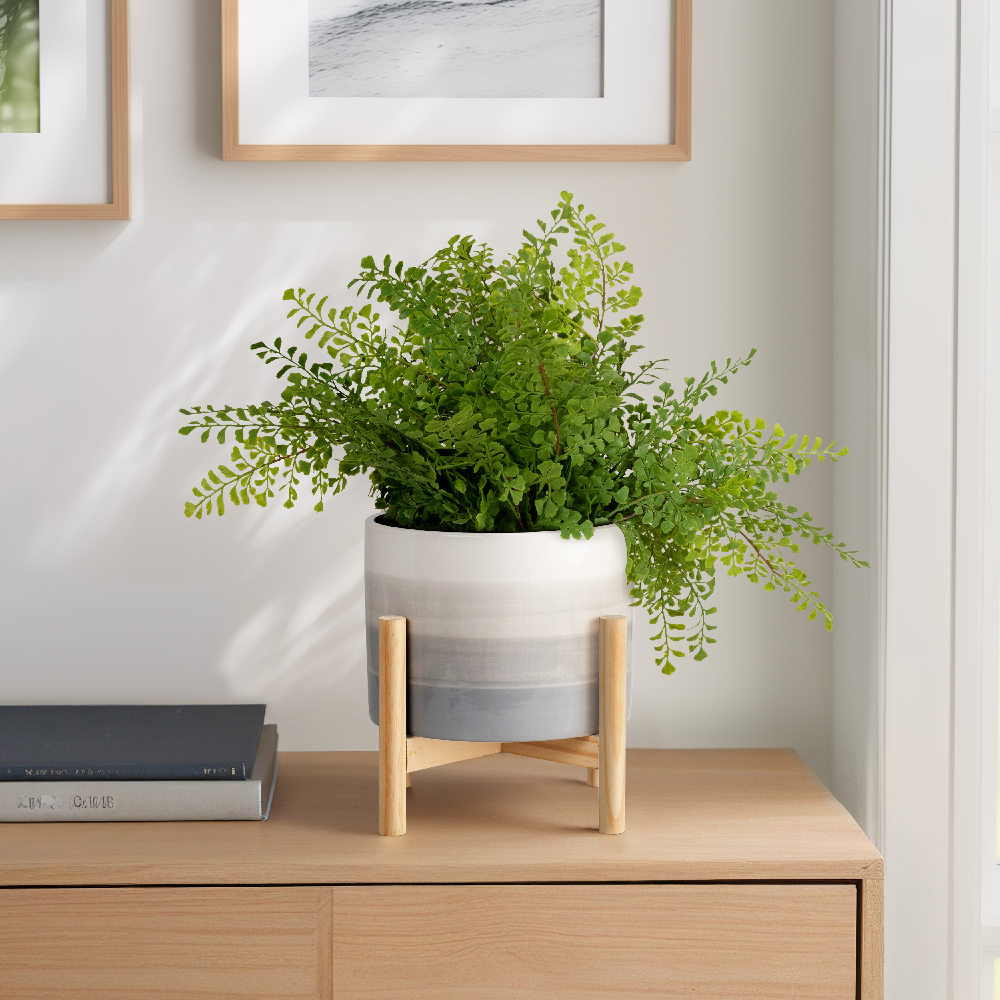 Ebern Designs Neutral Grey Ombre Ceramic Planter with Wood Stand ...