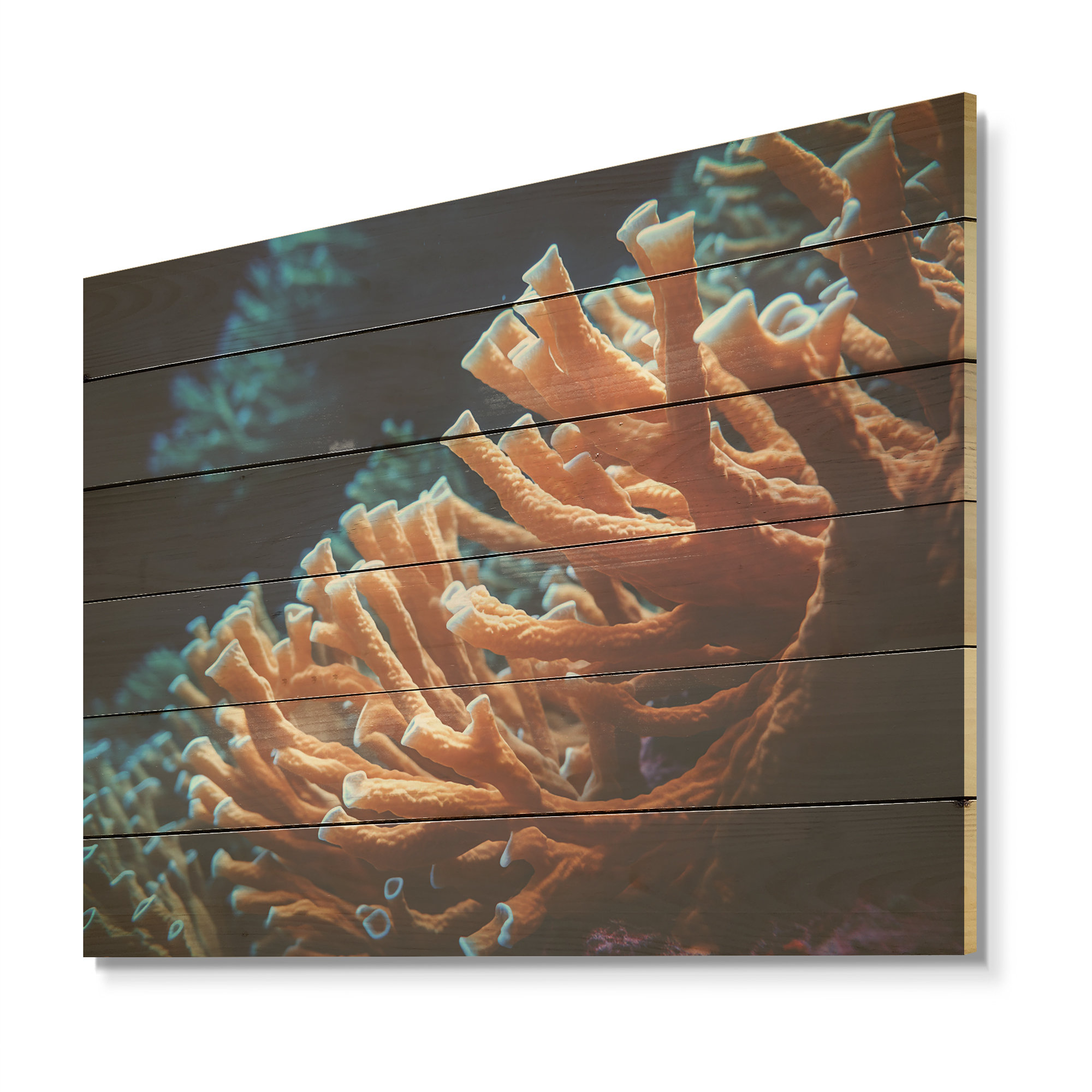 Beachcrest Home™ Orange Branching Coral Reef - Coastal Coral Under ...