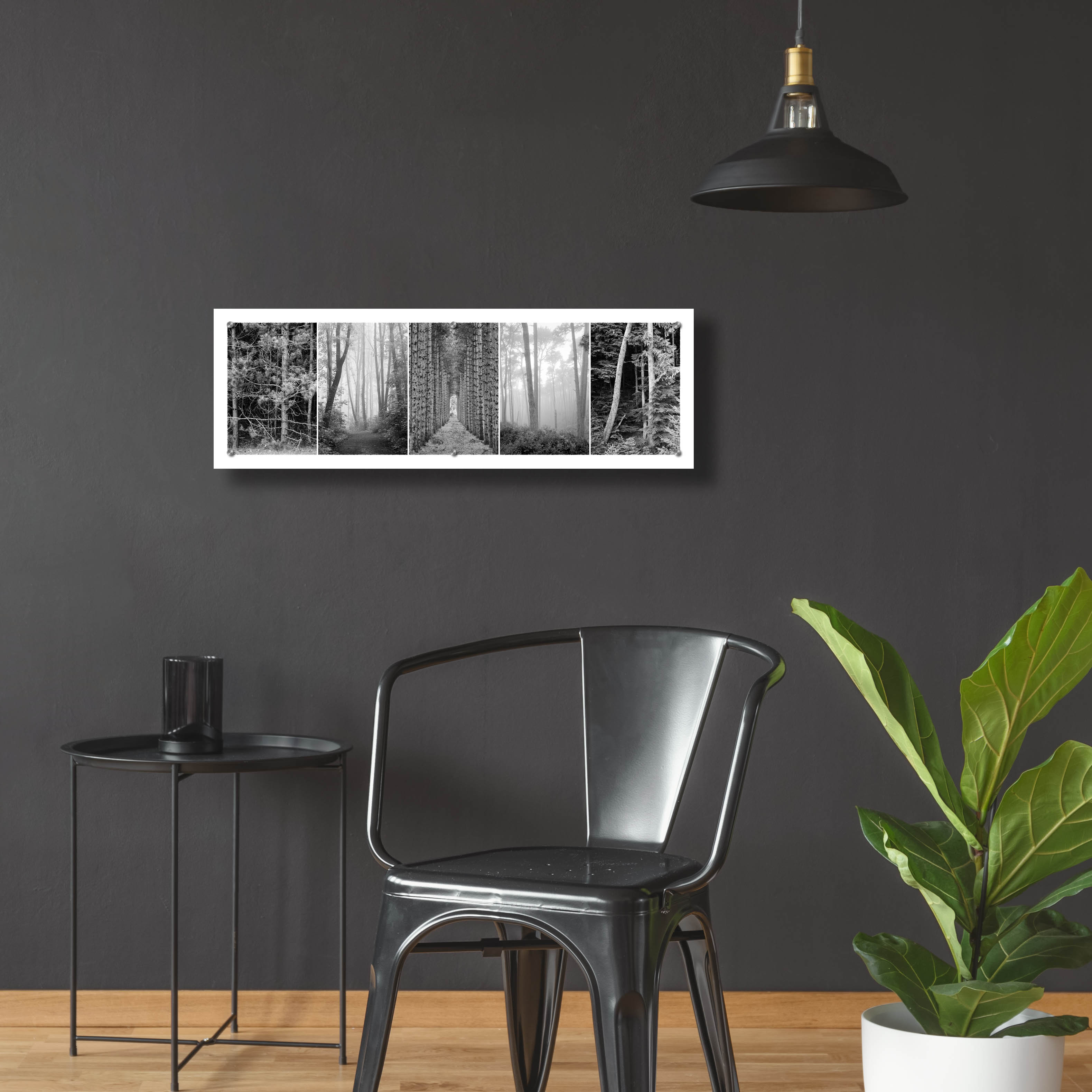 Latitude Run® Tree Montage 1' by Monte Nagler, Acrylic Glass Wall Art ...