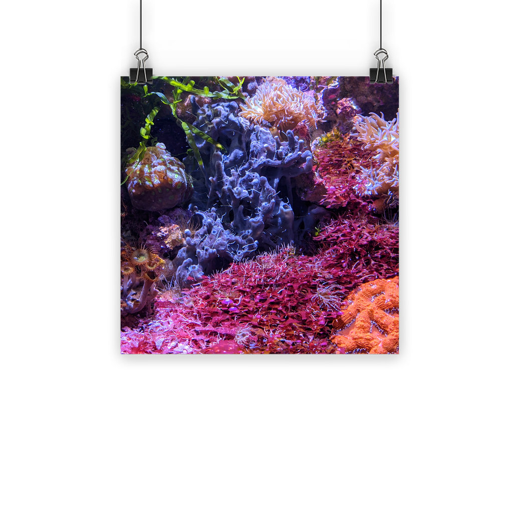 Highland Dunes Aquarium Fish Tank Classic Poster | Wayfair