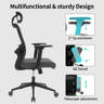 Inbox Zero Heavy Duty Ergonomic Desk Office Chair, High Back Home ...