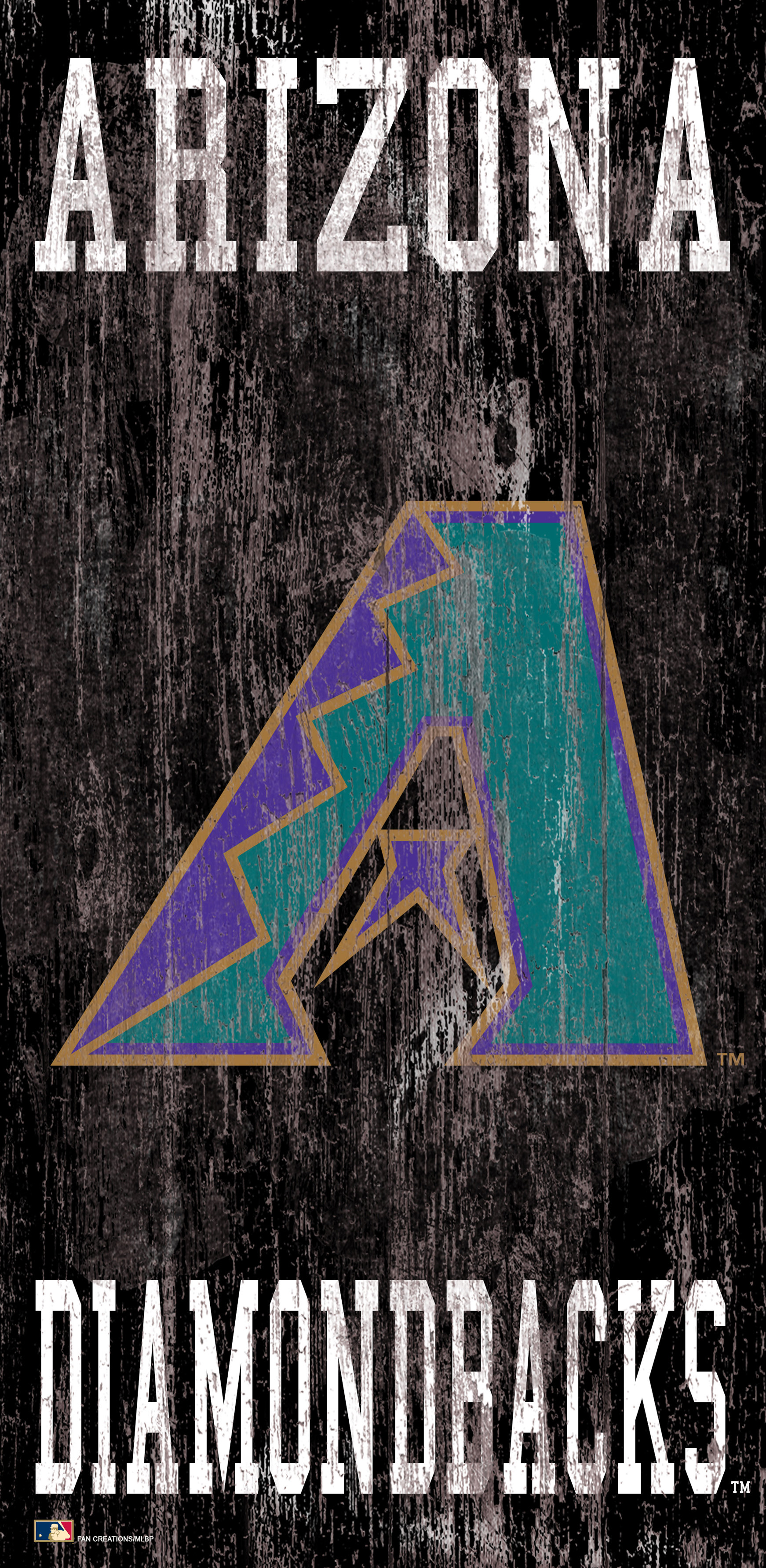 Fan Creations 'Arizona Diamond Backs' Graphic Art Print on Wood ...