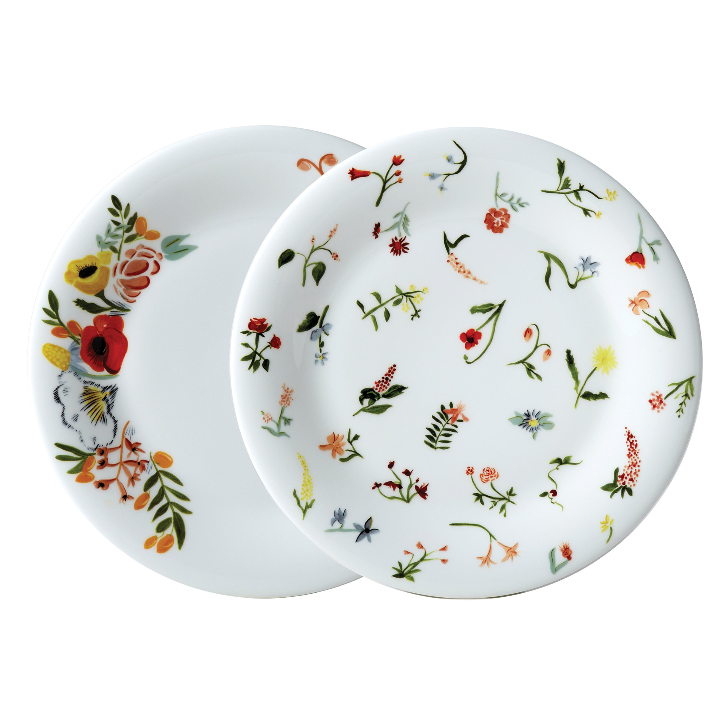 Twig Language Of Flowers 8.5'' Bone China - Wayfair Canada