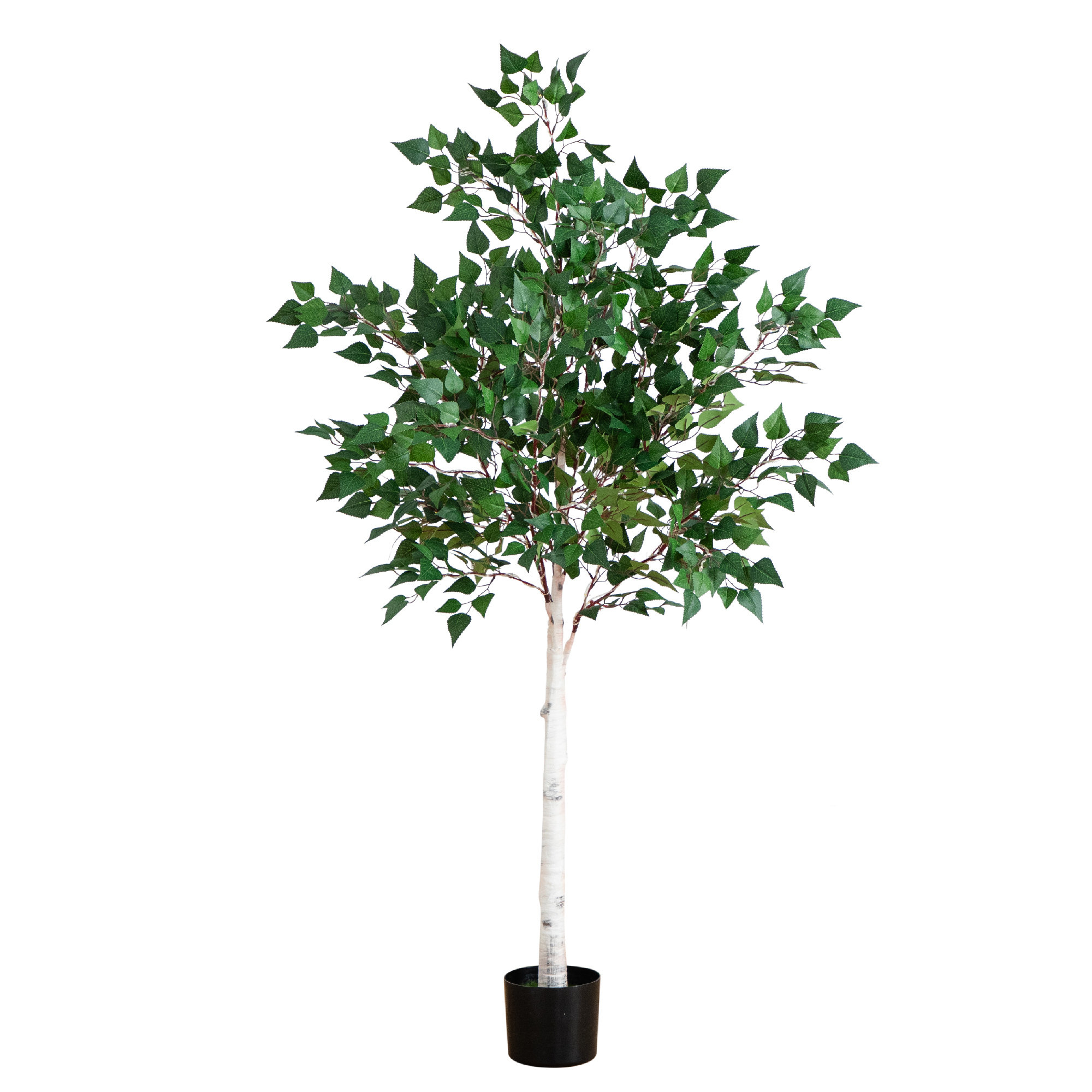 Primrue 5ft. Lighted Artificial Birch Tree with 180 Warm White LED ...