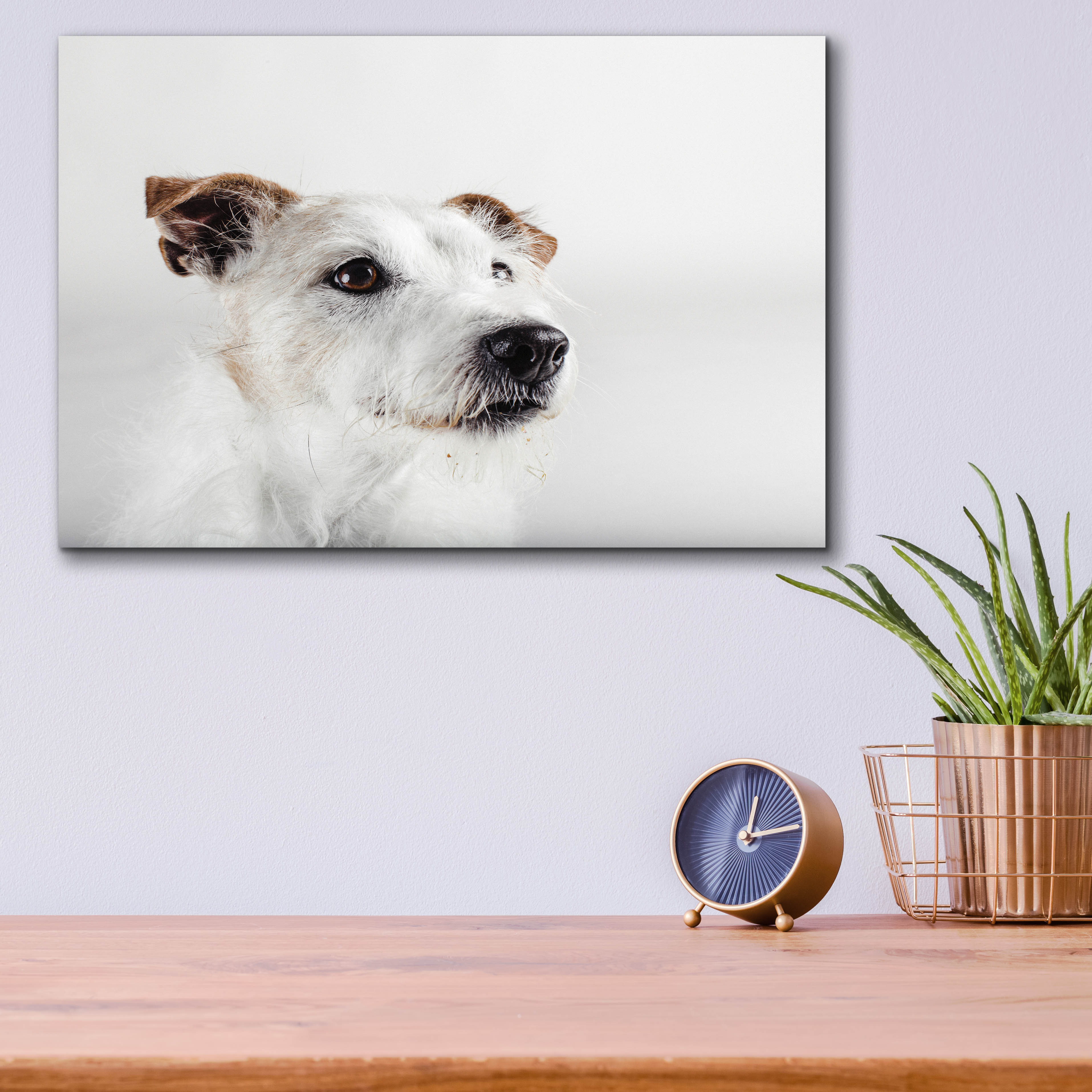 Ebern Designs " Spike Zuck " by Susan Sabo | Wayfair