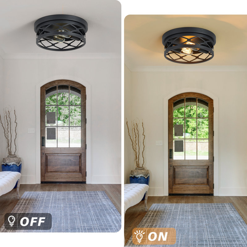 17 Stories 2-lights Black Flush Mount Ceiling Light Fixtures With Cage ...