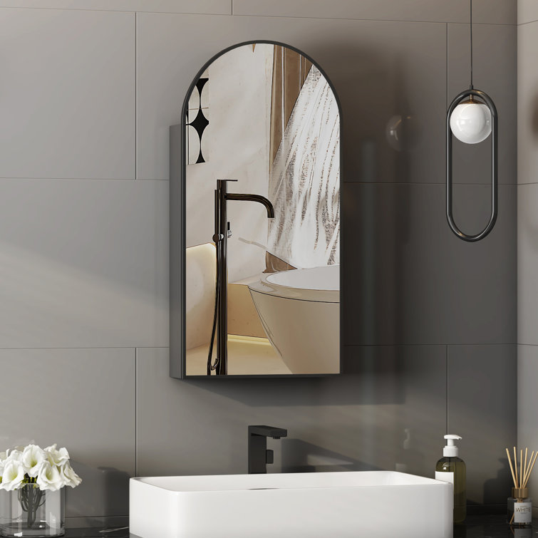 Fairmont Park Abhigna 80cm x 40cm Surface Mount Mirror Cabinet ...