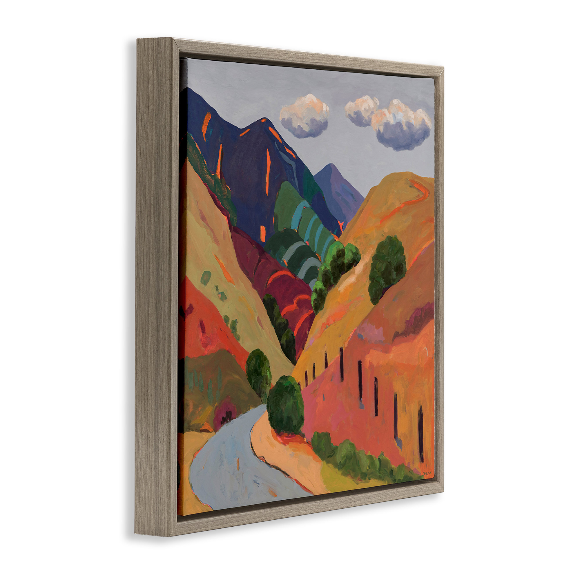 Latitude Run® Wanaka Valley Landscape Floating Frame, design by Jenny ...