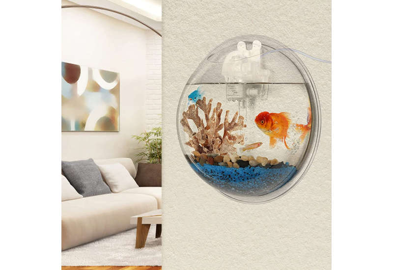 Fish Tank Sizes & Types: How to Choose the Right Aquarium | Wayfair