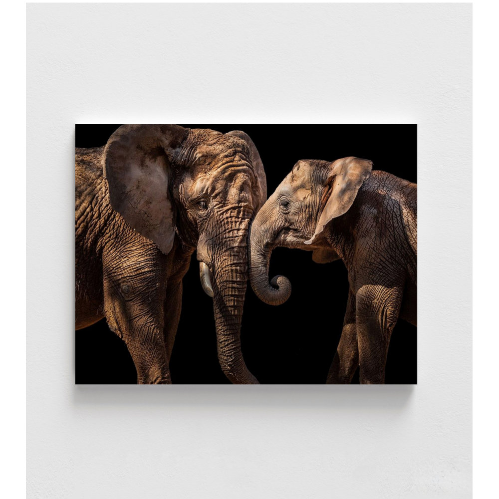 WeFrameArt Elephants By Vitor Martins, Animal Photography Print, Rustic ...