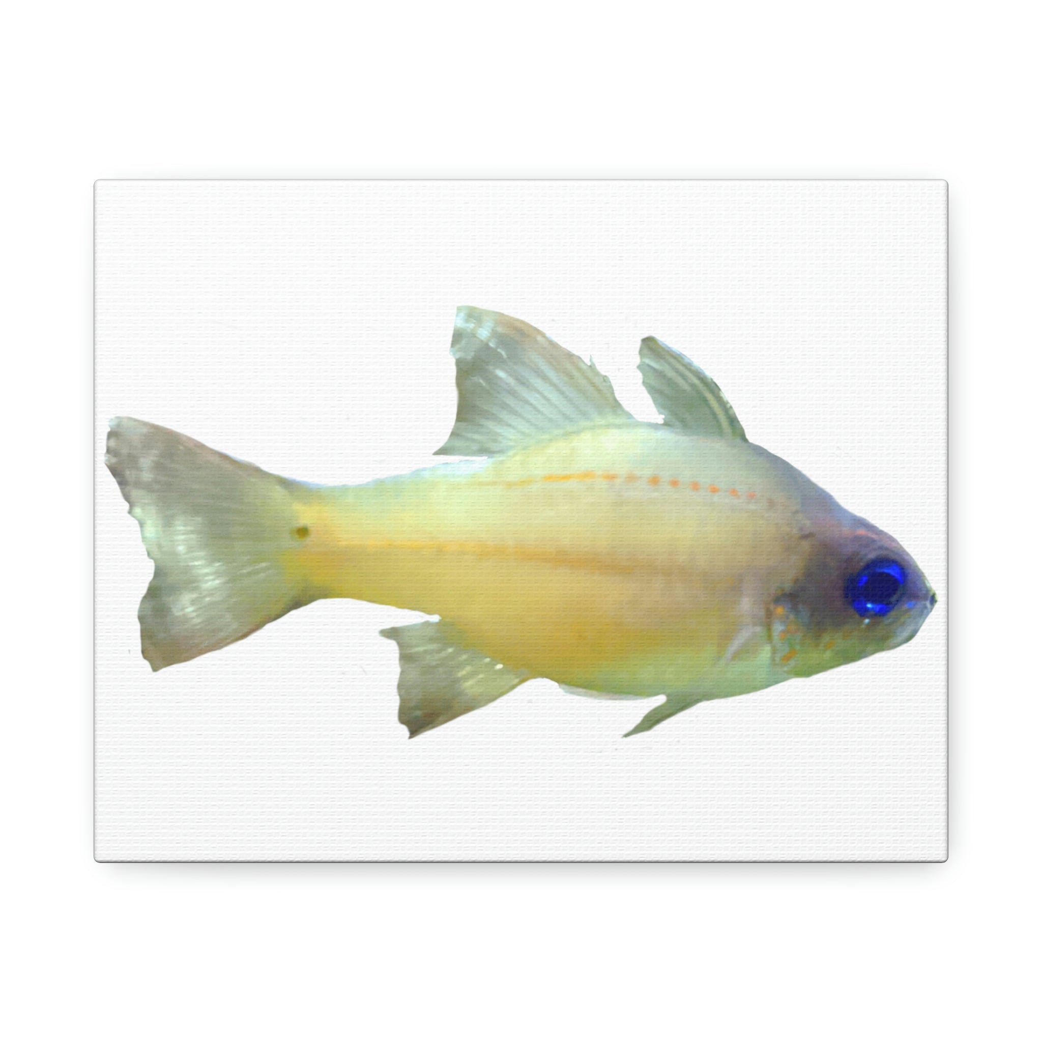 Rosecliff Heights Fish by Kelly Johnson - Graphic Art on Canvas ...